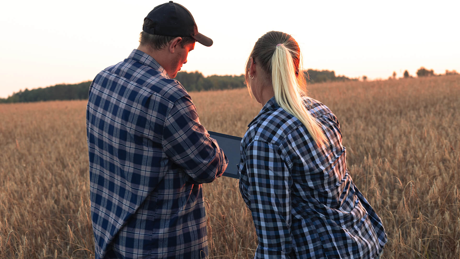 Dags för generationsskifte? Vi hjälper er att lyckas! | Ludvig & Co