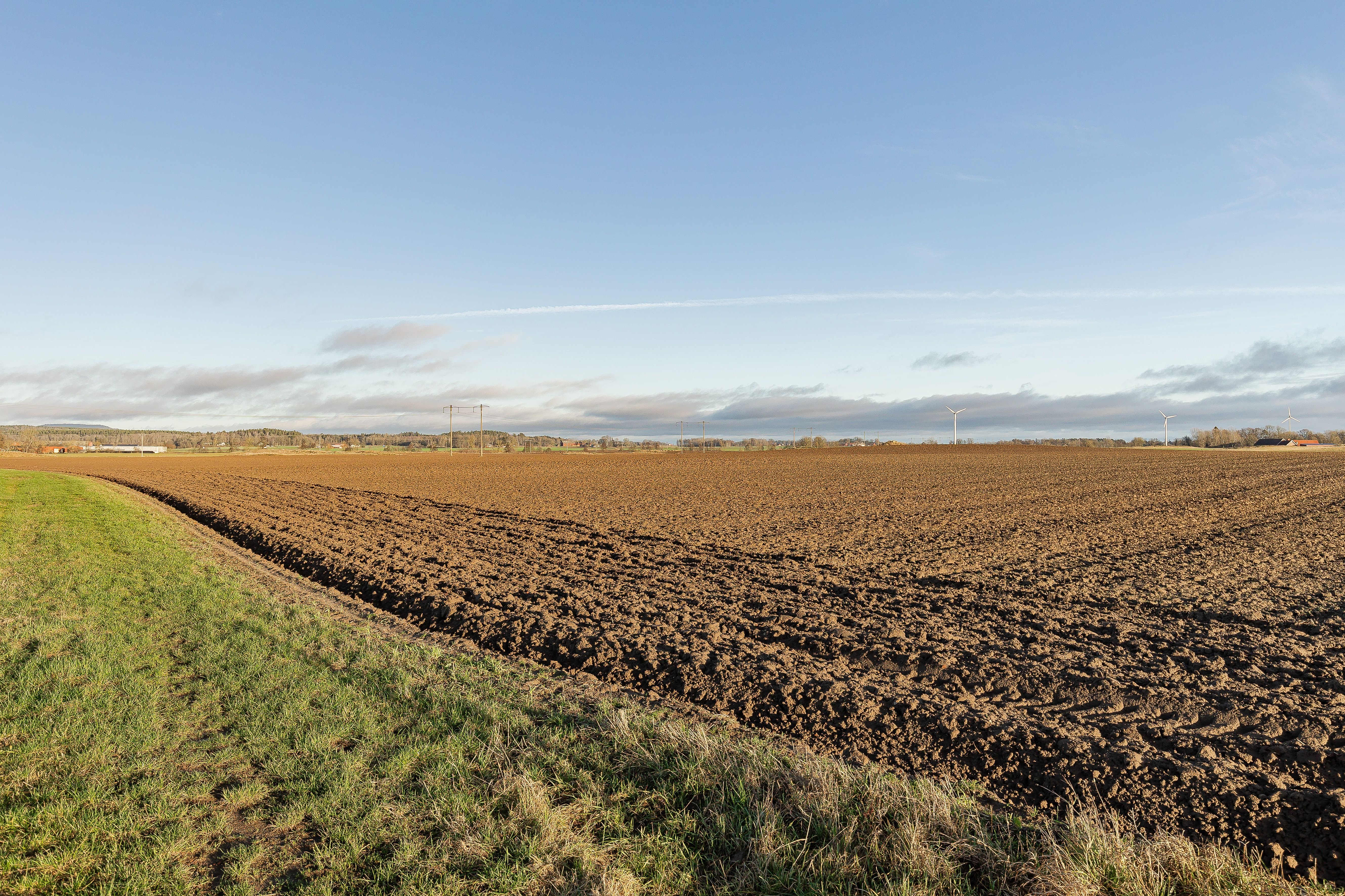 39 ha bördig åkermark i Skeby - Gård, Lantligt boende till salu ...