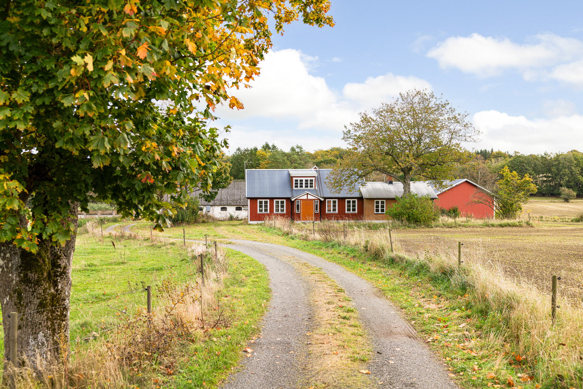Skånegård med 36 hektar åker, skog och bete! - Skog, Åker, Gård ...