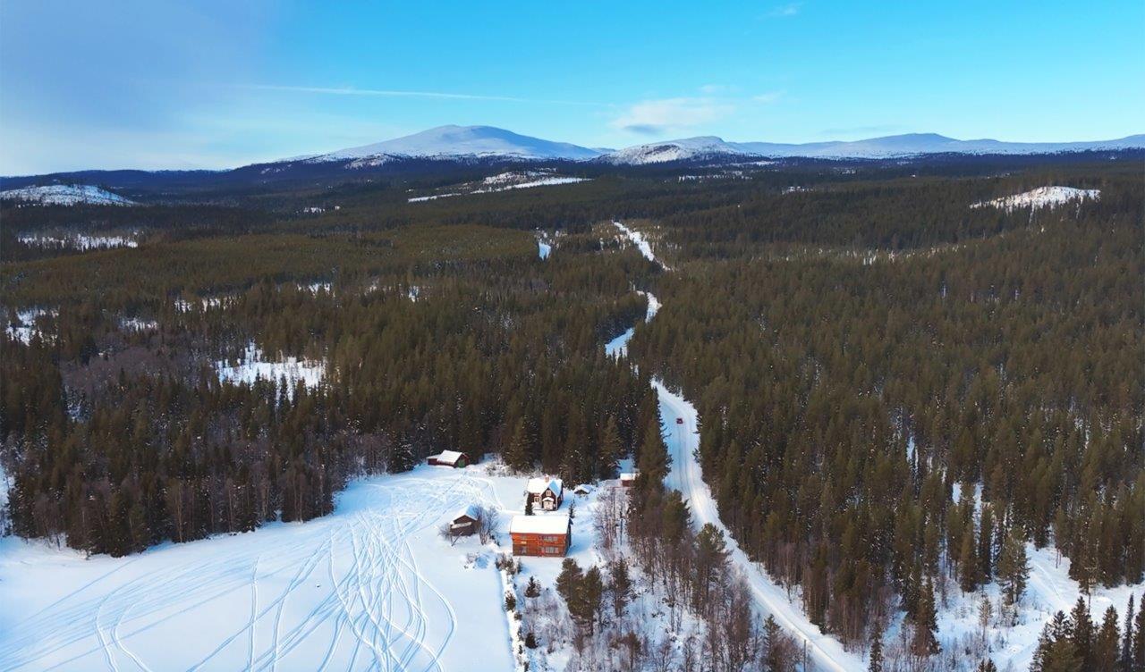 Skogsgård vid Särvfjället - Skog, Gård, Lantligt boende, Övrigt till ...
